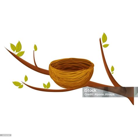 Empty Bird Nest From Twigs On Tree Branch With Leaves Isolated On White