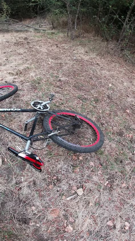 Soaked Naked In The Wild Riding Free Under The Rain Gay Amateur Amateur Porn XHamster