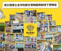 最新动态 埃尔西博士 健康猫砂