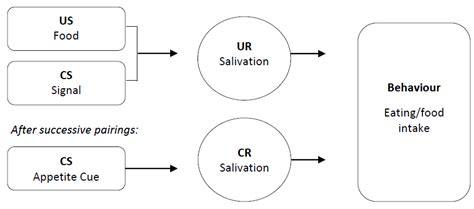 Ash Catton Phd Candidate The Role Of Interoceptive Conditioning In