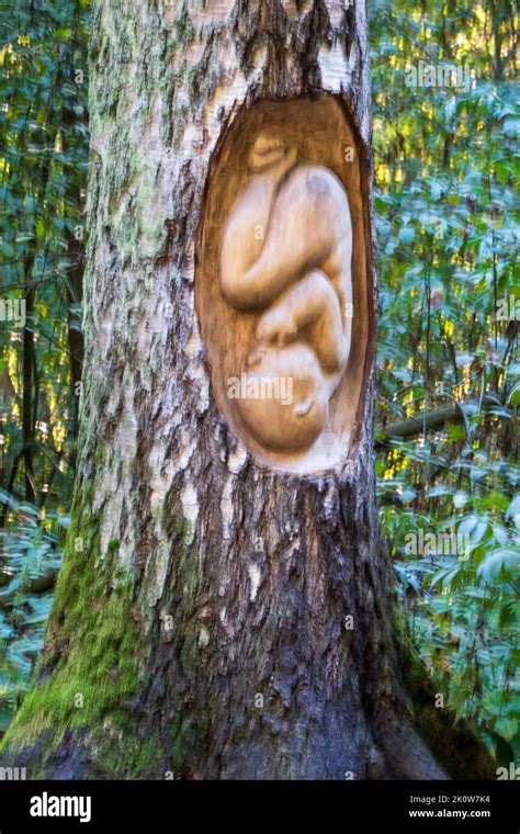 Carved Baby Fetus Tree Trunk KeskuspuistoVoima Ja Herkkyys By Sanna Karlsson Sutisna Forest