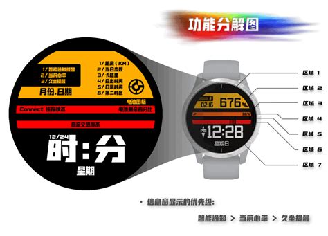 真彩 garmindev