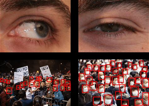 Iris Samples And Face Samples In Unconstrained Environments Download Scientific Diagram
