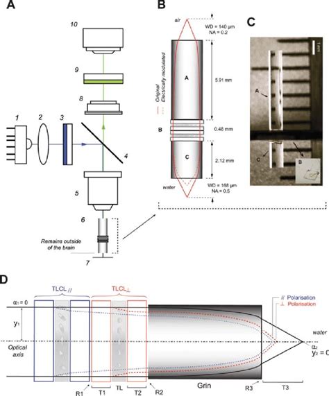 The Optical Probe And Experimental Set Up A Schematic Presentation Download Scientific