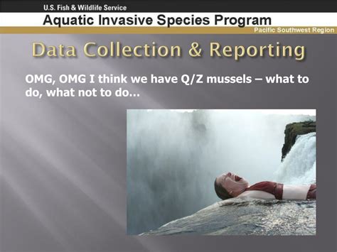 Ppt Part 2 Sampling Considerations Data Collection And Reporting Powerpoint Presentation Id