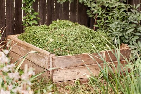 7 Easy Ways To Accelerate The Composting Process From A Professional