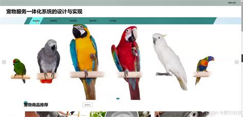 Springboot毕设宠物服务一体化系统的设计与实现程序论文部署 Csdn博客