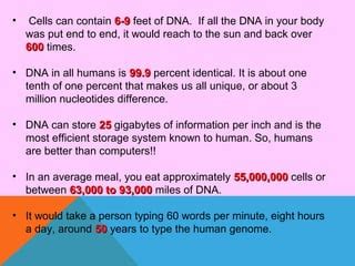 Dna Th Grade PPT