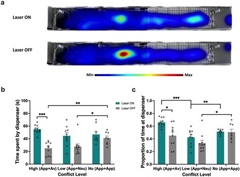 Figures And Data In Male Rodent Perirhinal Cortex But Not Ventral