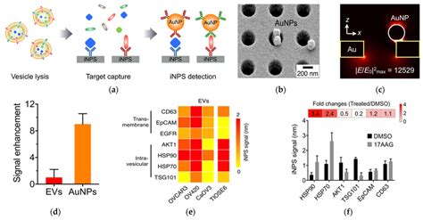 Magnetic Nanosensor For The Detection And Profiling Of Microvesicles Download Scientific