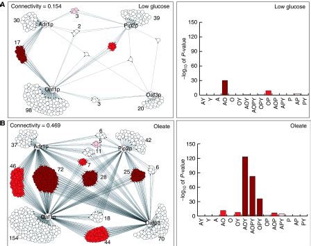 Identification Of Overrepresented Multiple Input Network Motifs In The