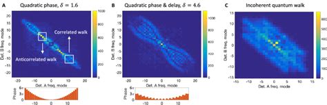 Two Photon Quantum Walks With Quadratic And Incoherent Input Phase A Download Scientific
