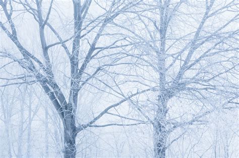 8505 Artem Sapegin On Landscape