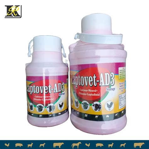 Calcium Syrup Veterinary Packaging Size 400 Ml At ₹ 55bottle In