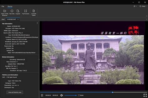 Open Dat Files With File Viewer Plus