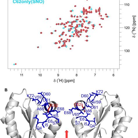 Chemical Shift Perturbation A¹h ¹⁵n Hsqc C62only And C62onlysno