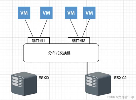 一张图了解vmware Vsphere网络架构 Vmkernel网卡 Csdn博客