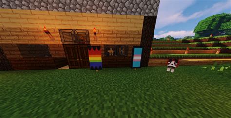 Banner Minecraft Trans At Kathaleen Velasquez Blog