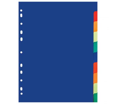 TREELINE Rainbow File Dividers 10 Tab Treeline Online