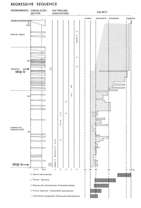 Schematic Section Of The Regressive Sequence At Consolação Regression Download Scientific