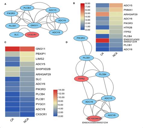 Heatmap And Interaction Network Of Differentially Expressed Genes