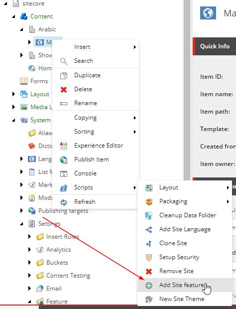 Best Practices Custom Features With Custom Rendering Section In