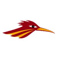 Nm Rail Runner Logo