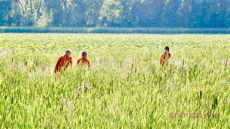 ពុទ្ធមណ្ឌល ពុទ្ធមណ្ឌលវិបស្សនាធុរៈ នៃព្រះរាជាណាចក្រកម្ពុជា