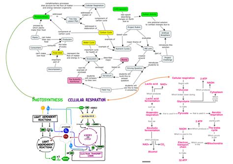 Solved Instructions You Will Decide If You Will Complete The Concept