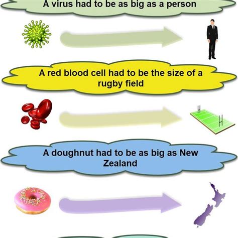 An Analogy Representation For Nanoparticle Size Comparison Download