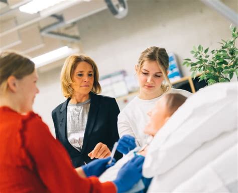 Anatomie En Fysiologie Beweging Zenuwen En Zintuigen