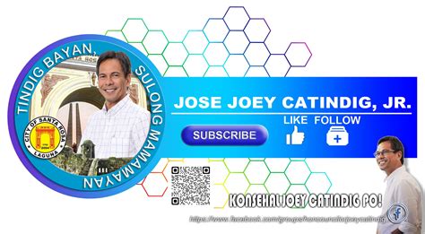 Friends Of City Councilor Jose Joey B Catindig Jr Public Group