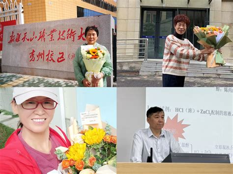 【师者如光】奔赴下一场山海 我校银龄支教团在三尺讲台续写青春 大连理工大学新闻网