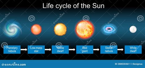 Stellar Evolution Life Cycle Of A Star Vector Illustration