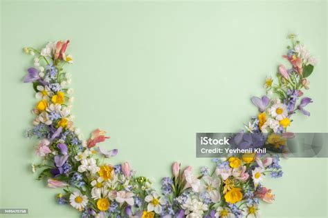 화장품의 광고 및 프리젠테이션을 위한 다양한 야생화의 꽃 레이아웃 아름다운 빛의 반사 평면도 0명에 대한 스톡 사진 및 기타 이미지 Istock