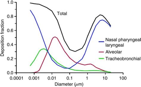 Total Particle Deposition In The Human Respiratory Tract And