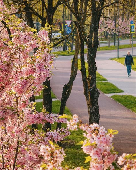 A Aleksandravičius Added A New A Aleksandravičius