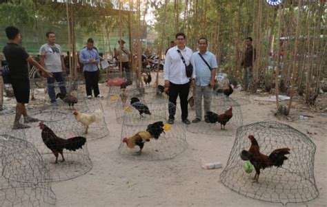 បង្រ្កាបវង់ល្បែងអាប៉ោងនិងសង្វៀនជល់មាន់មួយកន្លែងឃាត់មនុស្ស២នាក់