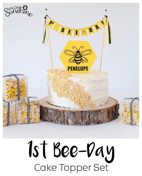 1st Bee Day Cake Topper Bee Birthday Theme Nerf Cake