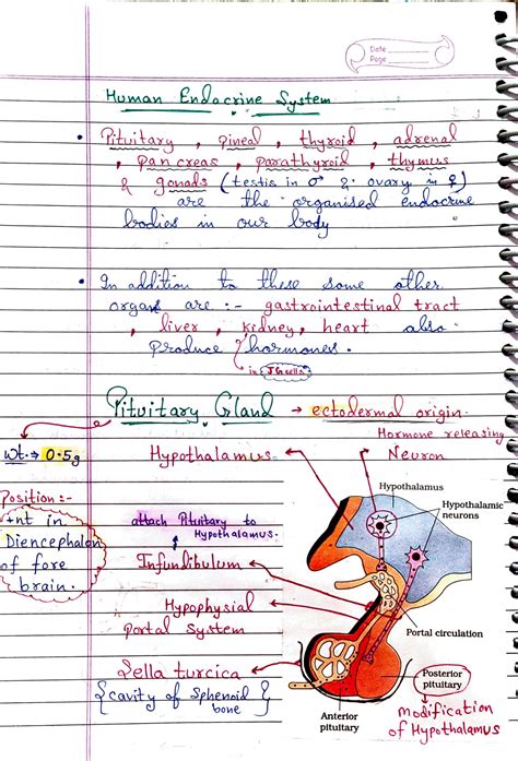 Solution Chemical Control And Integration Neet Handwritten Notes