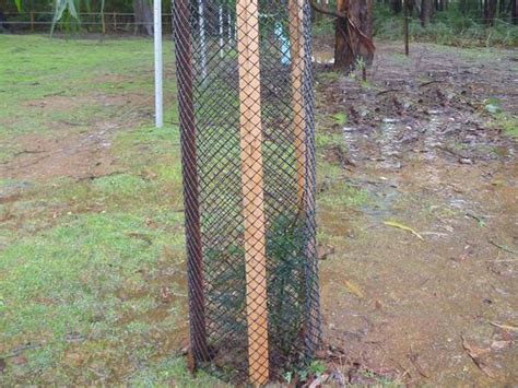 Plastic Mesh Is Used For Tree Guards With Roll Packing