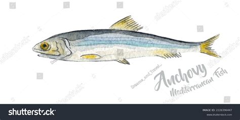 생선 1275022개가 넘는 로열티 프리 라이선스 대상 스톡 일러스트 및 그림 Shutterstock