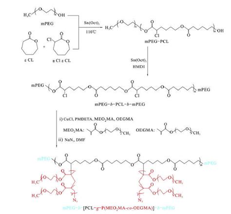 synthesis scheme of peg b [pcl g p meo2ma co oegma ] b peg tbg2