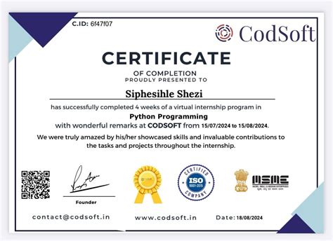 siphesihle shezi on linkedin python pyqt5 internship codsoft