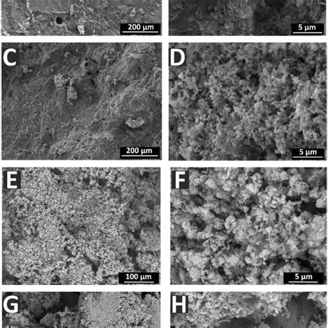 cements morphology a b cement based on β tcp c d cement based on