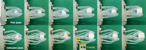 Figure 9 From A Matlab Based Framework For Designing 3d Topology