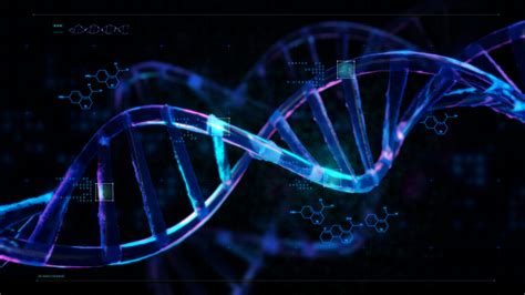 Hcn1 Gene Mutation And Epilepsy The Defeating Epilepsy Foundation