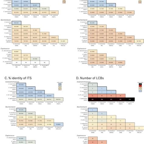 Plots Of Chromosome Synteny Based On Pairwise Blastn Alignment Among