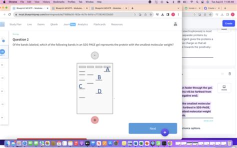 Biochemical Lab Techniques Flashcards Quizlet