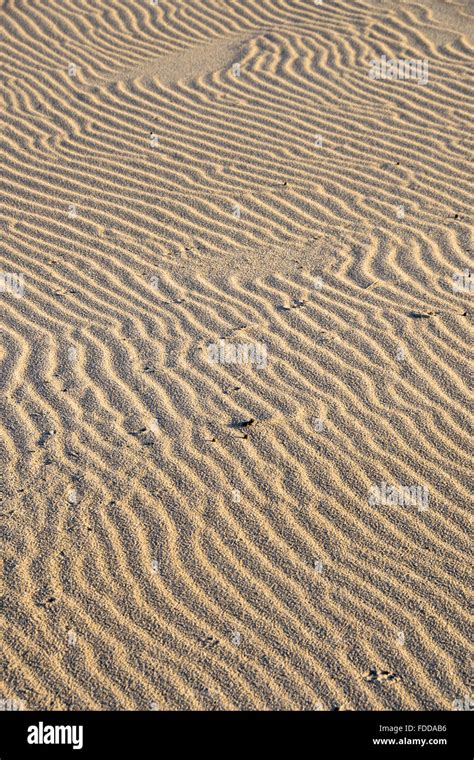Pattern In Sand Stock Photo Alamy